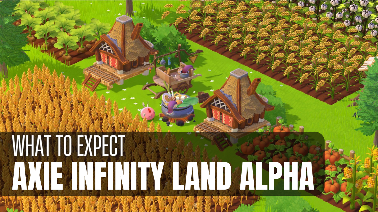 What to Expect from the Axie Infinity Land Alpha Coming Out at the End ...